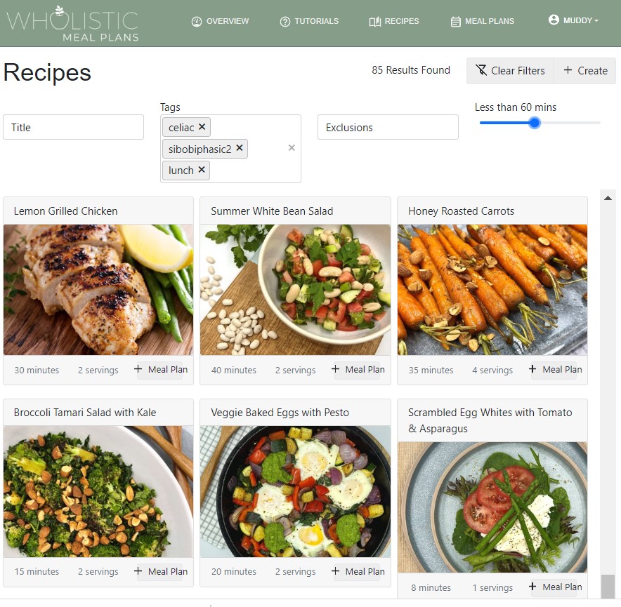 Wholistic Meal Plans